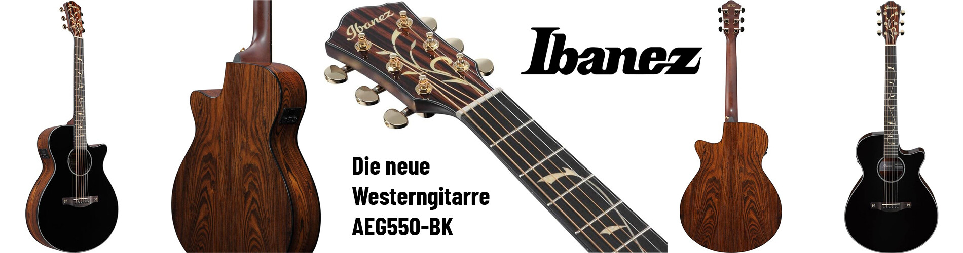 Music Service Geiger Instrumenten-Shop